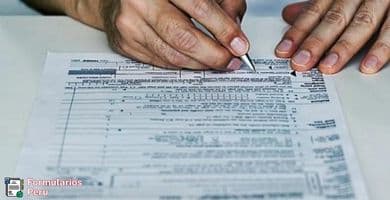 ᐈ Descarga el Formulario 2135 Sunat | Formularios Perú