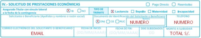 ᐈ Llenar el Formulario 1010 EsSalud | Formularios Perú