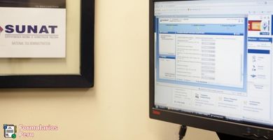 ᐈ Llenar el Formulario 709 SUNAT | Formularios Perú